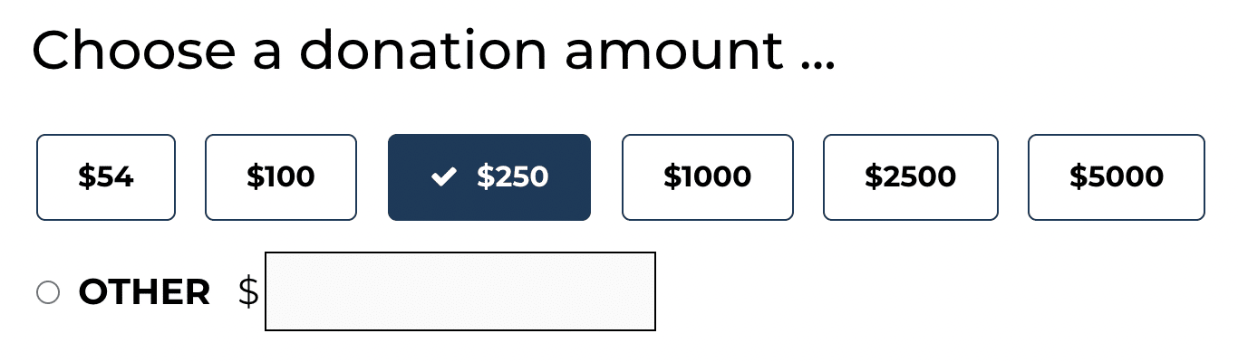 Here's How to Build an Effective Donation Page | Digital Ink