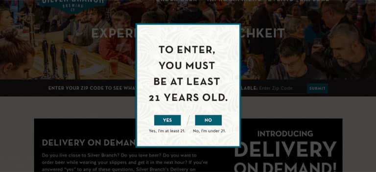 Create an Age Verification Modal for Your Website | Digital Ink